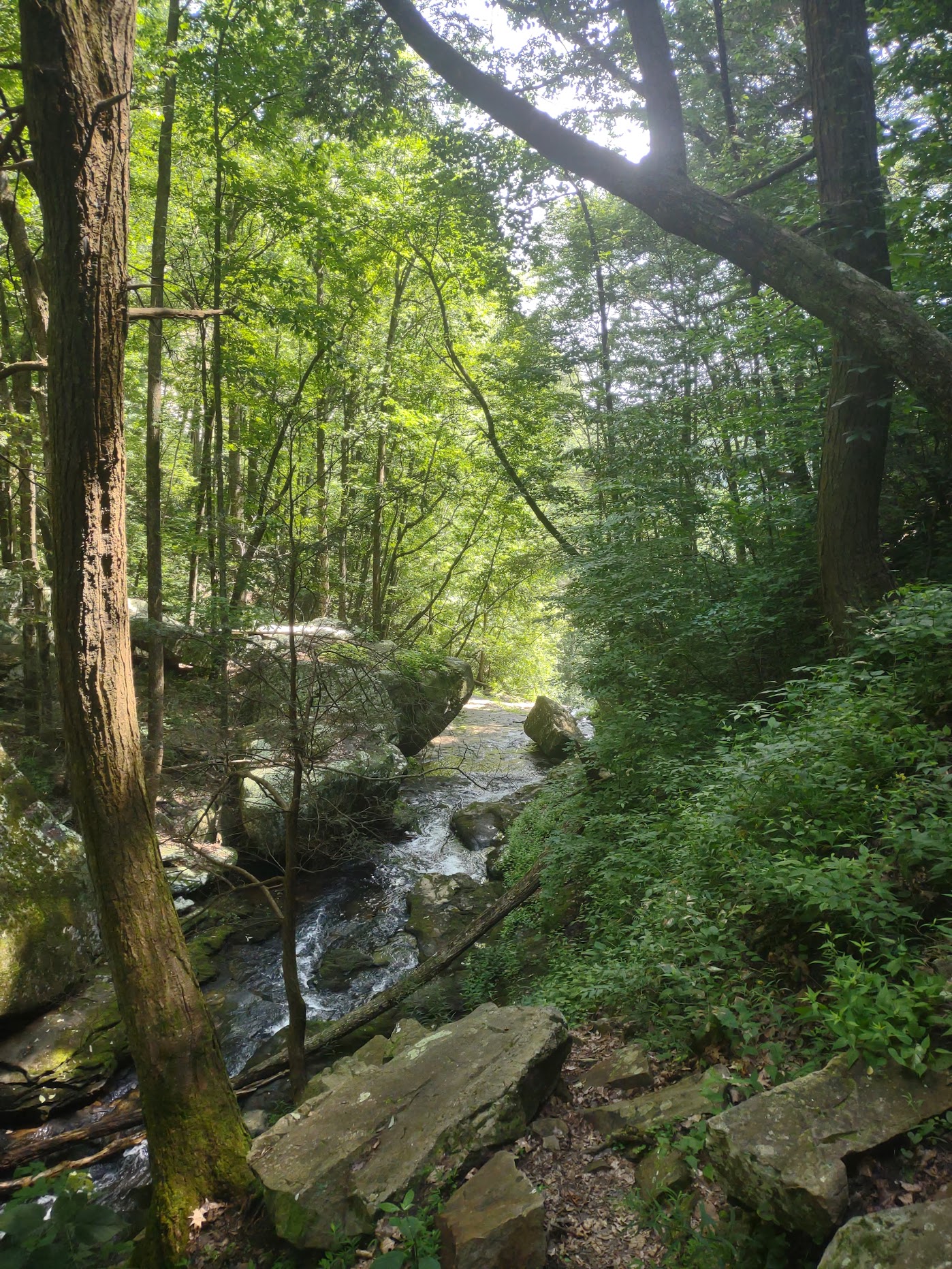 Dispatches from the South: 24 Hours in Chattanooga – AshevilleExplorer